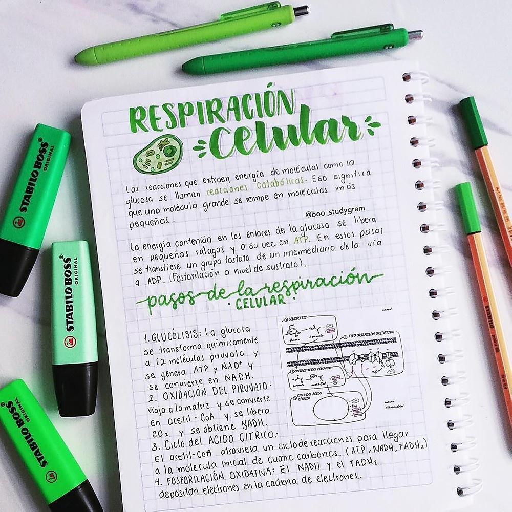 studygram - magisterjuris.com